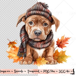 Watercolor Pitbull Clipart, Pitbull Puppy, Autumn Pitbull, Cute Pitbull ...