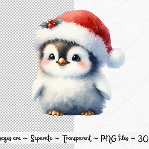 212 Cute Christmas Baby Penguin Clipart Bundle, Christmas Winter ...