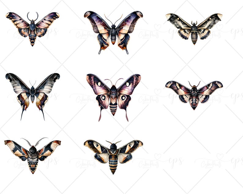 Dark Butterfly and Moth Clipart Bundle - 52 Gothic Watercolor Insects ...
