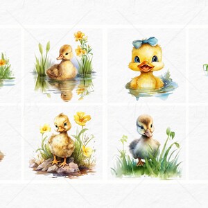 Fluffy Ducklings PNG | Chicks Clipart | Baby Ducks PNG | Duck ...