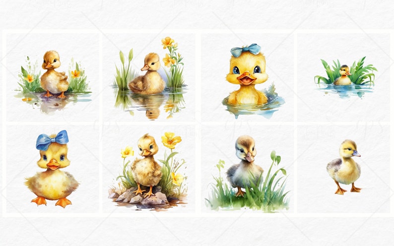 Fluffy Ducklings PNG Chicks Clipart Baby Ducks PNG Duck - Etsy