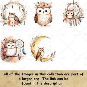 Boho Owl Clipart Bundle - 25 Watercolor PNG Owls With Floral Wreaths ...