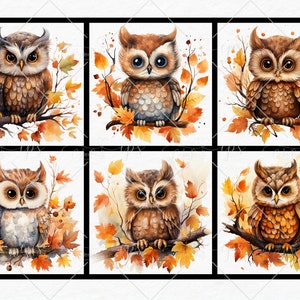 Autumn Cute Owl Watercolor Clipart, Fall Animal Clipart PNG, Kids ...