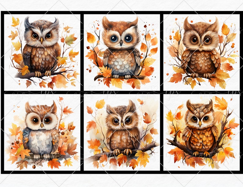 Autumn Cute Owl Watercolor Clipart, Fall Animal Clipart PNG, Kids ...