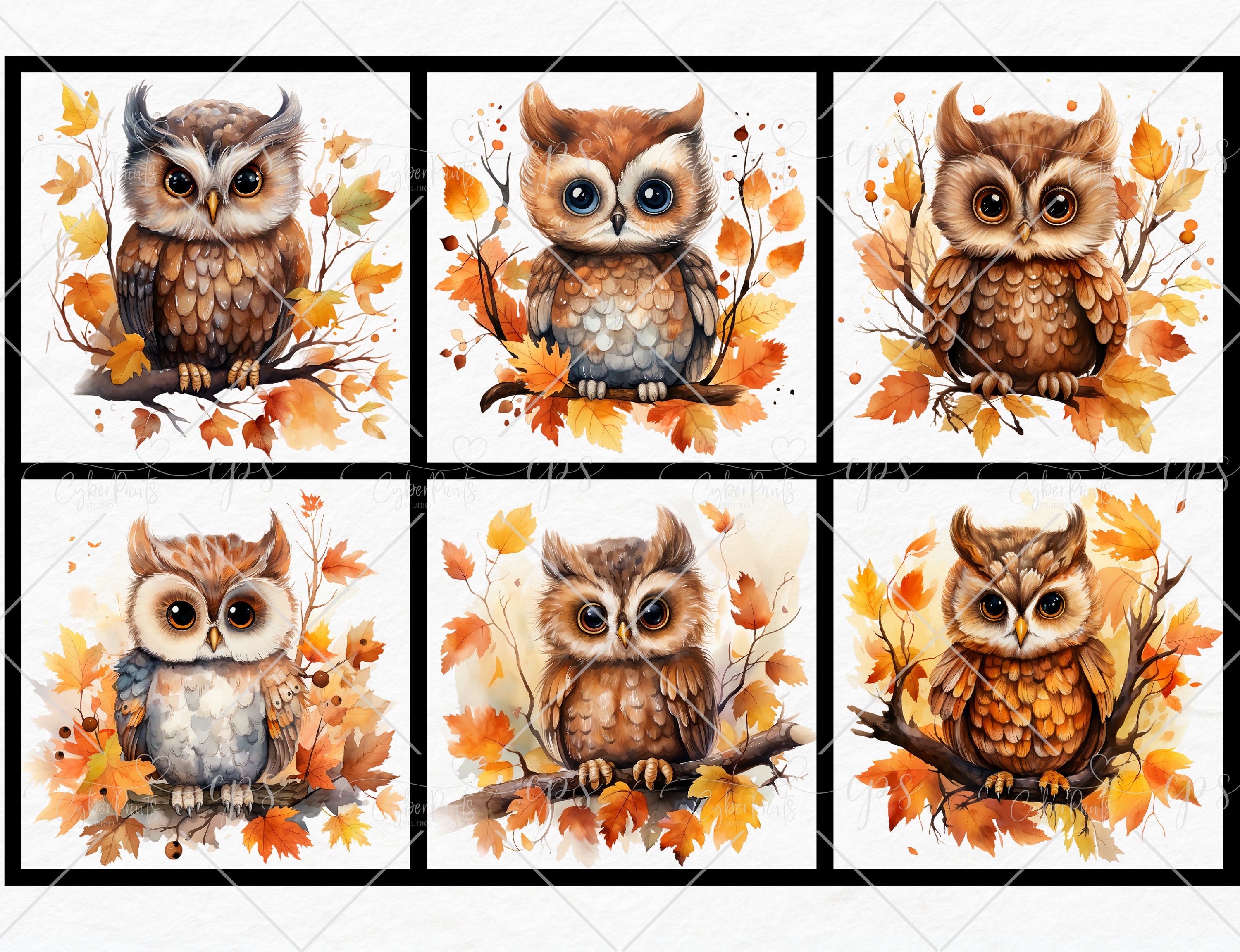 Autumn Cute Owl Watercolor Clipart Fall Animal Clipart PNG - Etsy