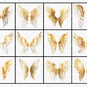 Golden Angel Wings Clipart, Watercolor Clipart, Feather Wings Png ...