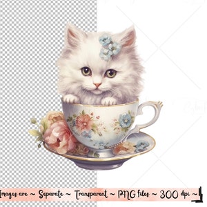 Watercolor Kitten in Teacup Clipart PNG Printable Floral Cat Tea Party ...