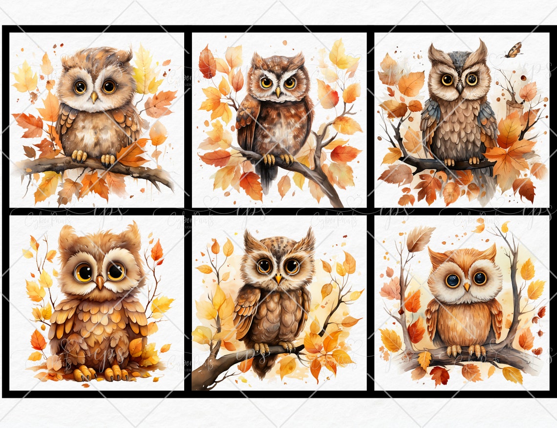 Autumn Cute Owl Watercolor Clipart, Fall Animal Clipart PNG, Kids ...