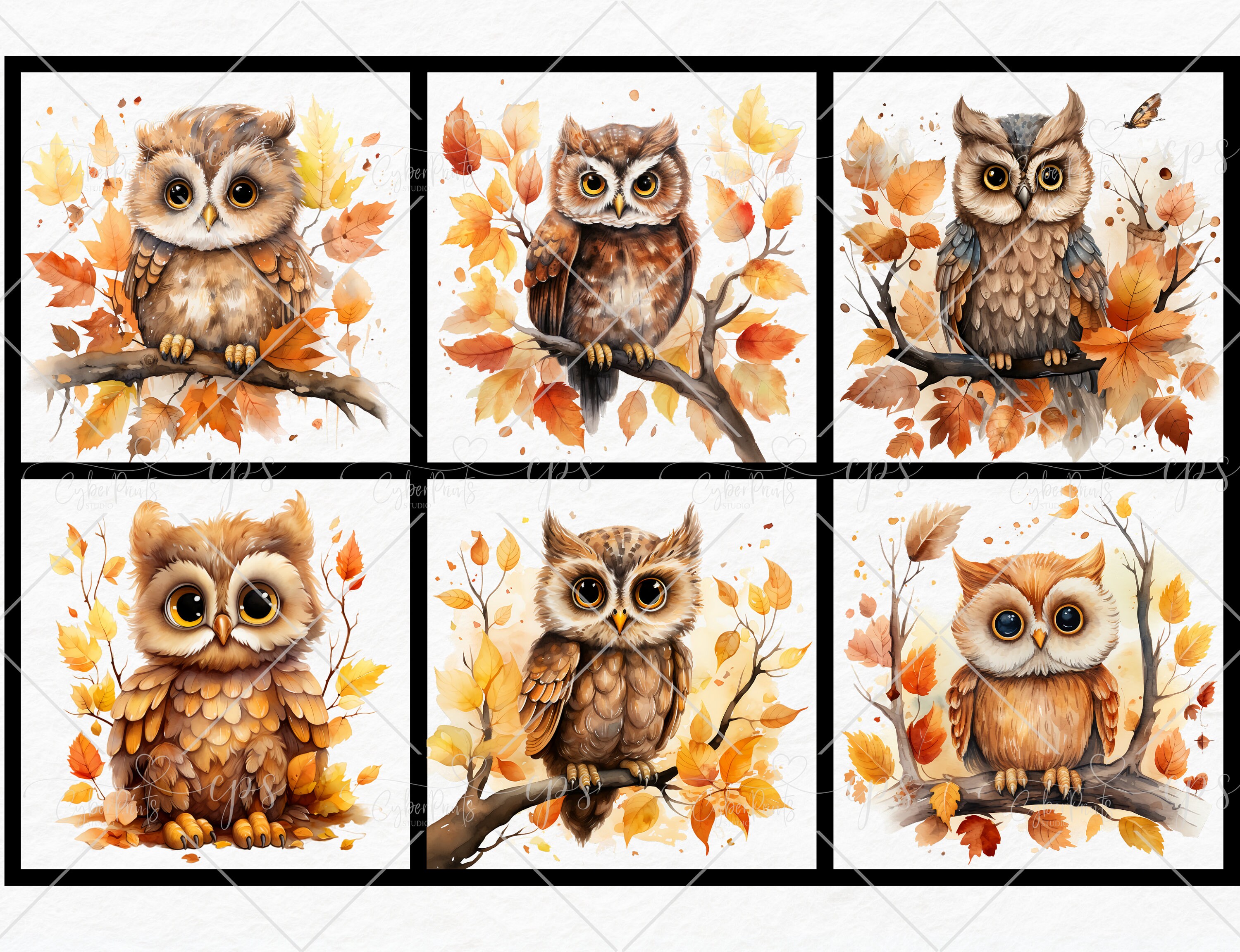 Autumn Cute Owl Watercolor Clipart Fall Animal Clipart PNG - Etsy