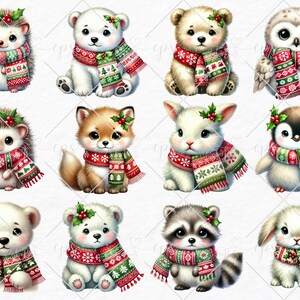 Cute Animal Clipart, Cozy Critters Clipart, Woodland Animals PNG ...