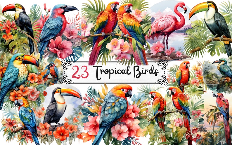 Watercolor Tropical Birds Clipart Tropical Birds With Hibiscus and ...