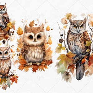 Autumn Cute Owl Watercolor Clipart, Fall Animal Clipart PNG, Kids ...