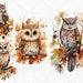 Autumn Cute Owl Watercolor Clipart Fall Animal Clipart PNG - Etsy