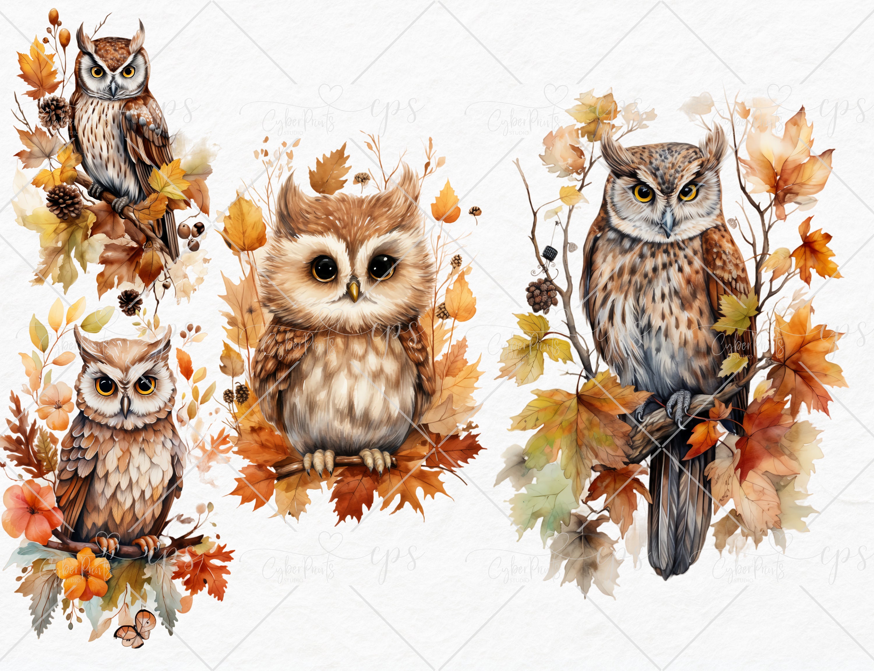 Autumn Cute Owl Watercolor Clipart Fall Animal Clipart PNG - Etsy