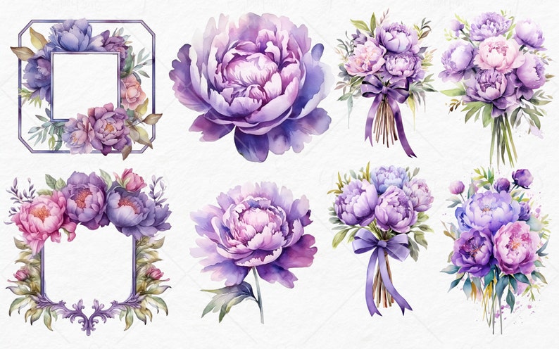 Watercolor Purple Peony Clipart Peonies in PNG Format - Etsy