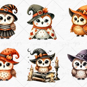 Witch Owls Clipart, Halloween Owl Art, Cute Owl, Fall Digital Art ...