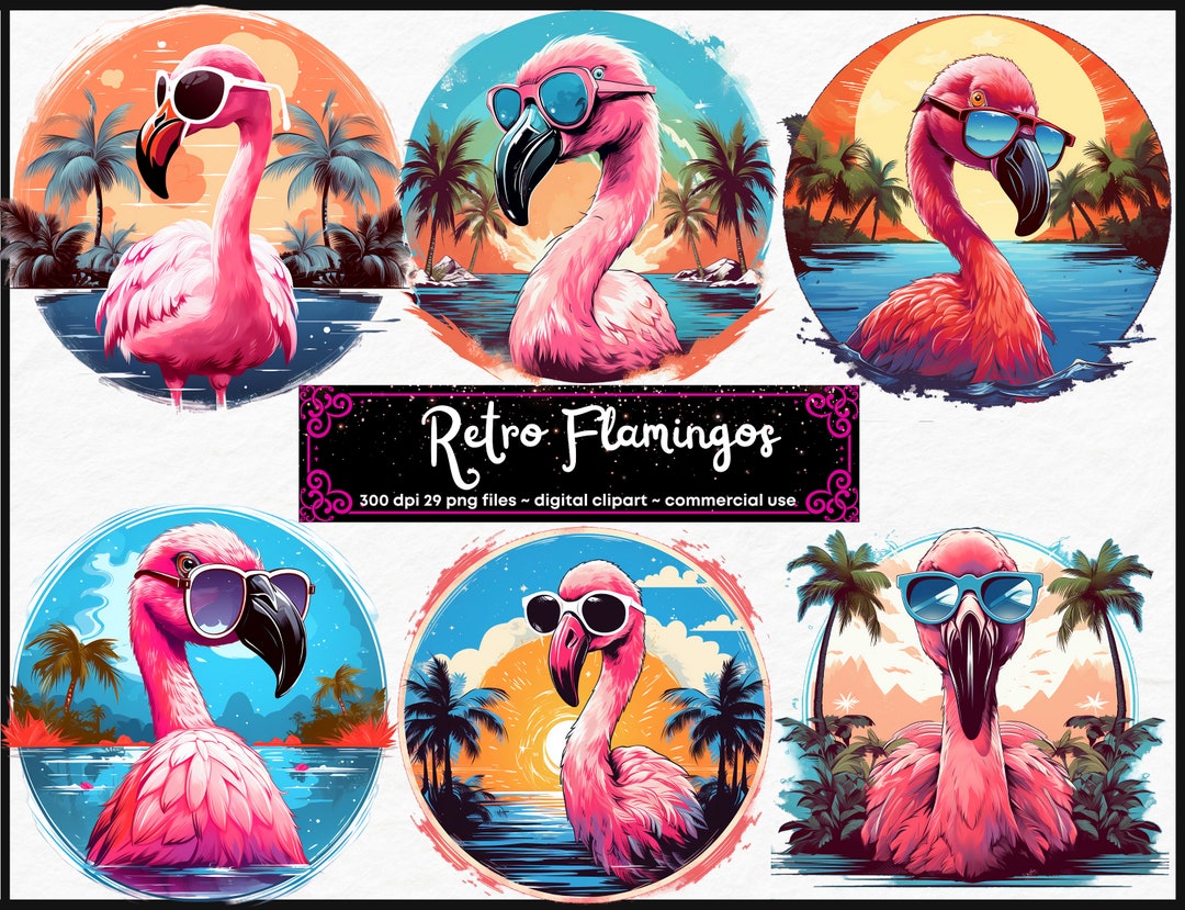 Flamingo Sunglasses Clipart | Retro | PNG | Cute | Watercolor ...