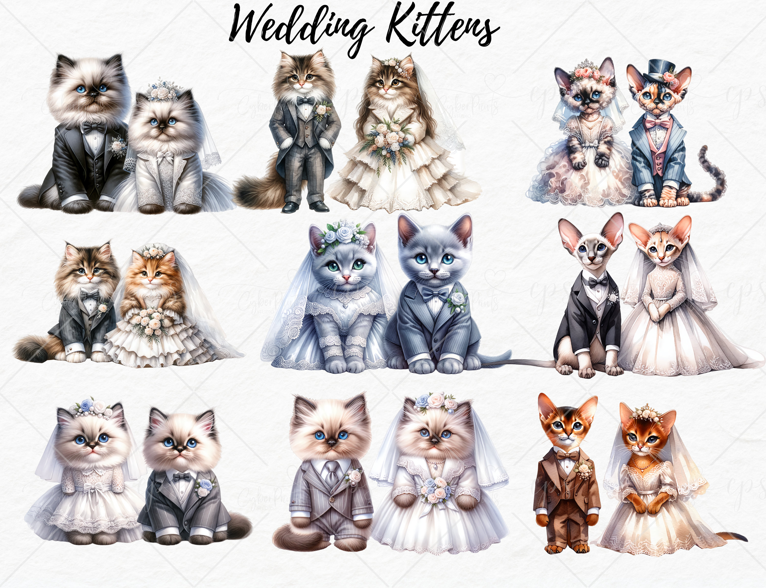 Wedding Cat Watercolor Clipart, Kitten Marriage, Bride and Groom ...