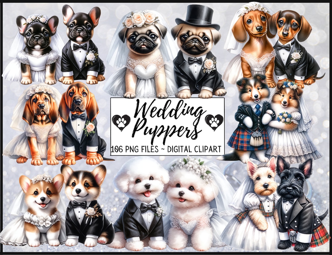 Wedding Dog Watercolor Clipart, Puppy Marriage,bride and Groom ...