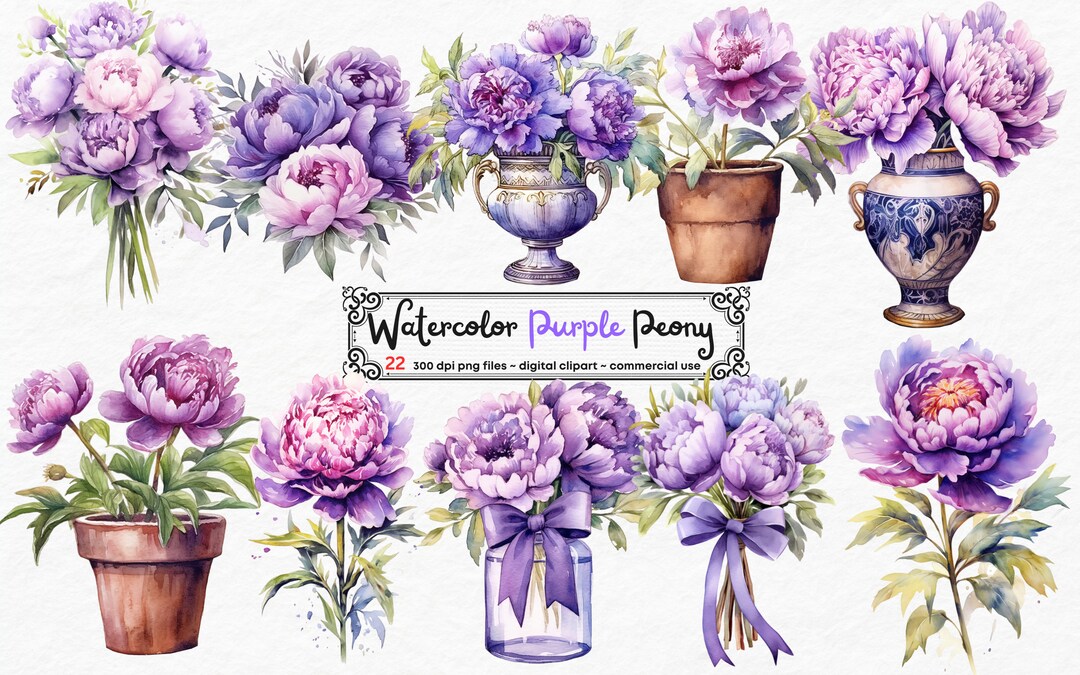 Watercolor Purple Peony Clipart - Peonies in PNG Format Instant ...