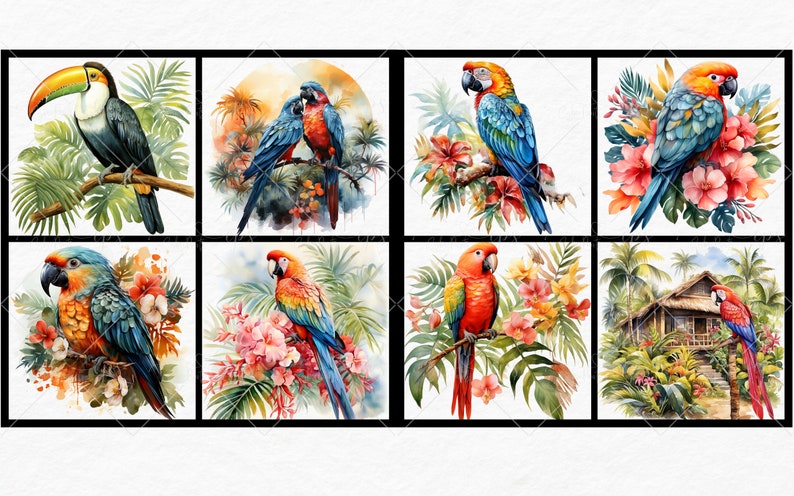 Watercolor Tropical Birds Clipart - Tropical Birds With Hibiscus and ...