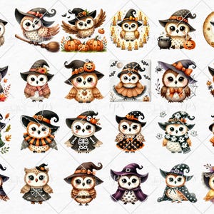 Witch Owls Clipart, Halloween Owl Art, Cute Owl, Fall Digital Art ...