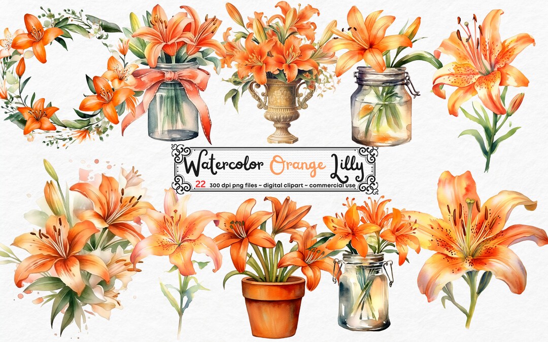 Watercolor Orange Lilly Clipart - Orange Lillies in PNG Format Instant ...