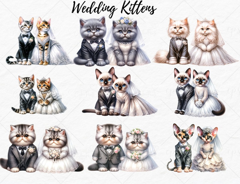 Wedding Cat Watercolor Clipart, Kitten Marriage, Bride and Groom ...