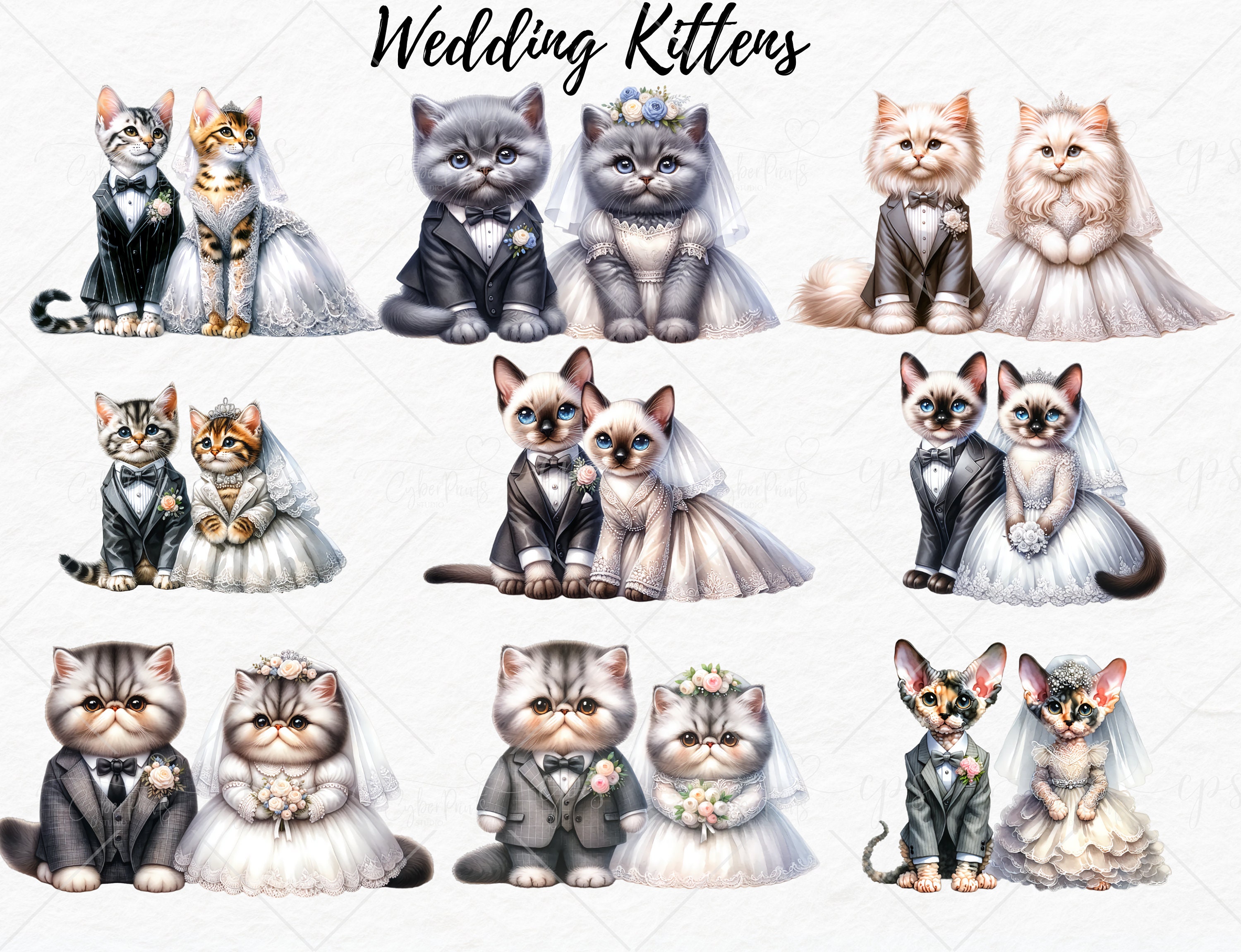 Wedding Cat Watercolor Clipart, Kitten Marriage, Bride and Groom ...