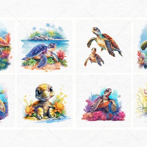 Watercolor Sea Turtle Clipart, Cute Nautical Ocean Animals PNG Clip Art ...