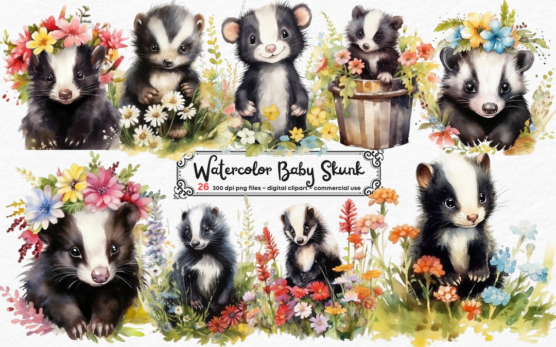 Cute Skunk Watercolor Clipart Skunk Flowers PNG Commercial Use Forest ...
