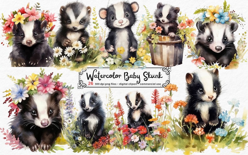 Cute Skunk Watercolor Clipart Skunk Flowers PNG Commercial Use - Etsy