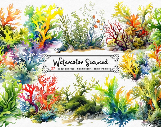 Seaweed Clipart, Seaweed Png, Watercolor, Ocean Clipart, Ocean Life ...