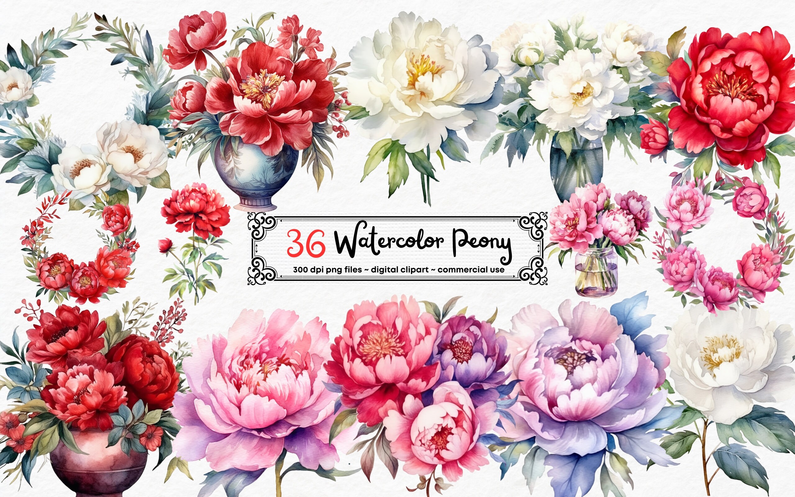 Watercolor Peony Clipart - Peonies in PNG Format Instant Download for ...