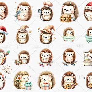 Cute Hedgehogs Clipart, Hedgehog Clipart Bundle, Hedgehog PNG, Cute ...