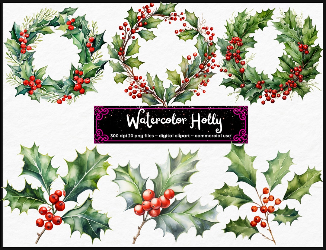 Watercolor Holly Clipart - Winter Botanical Clip Art in PNG Format ...