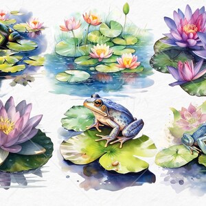 Lillypad Pond Clipart, Lillypad Clipart, Lillypad Flower Clipart Frog ...