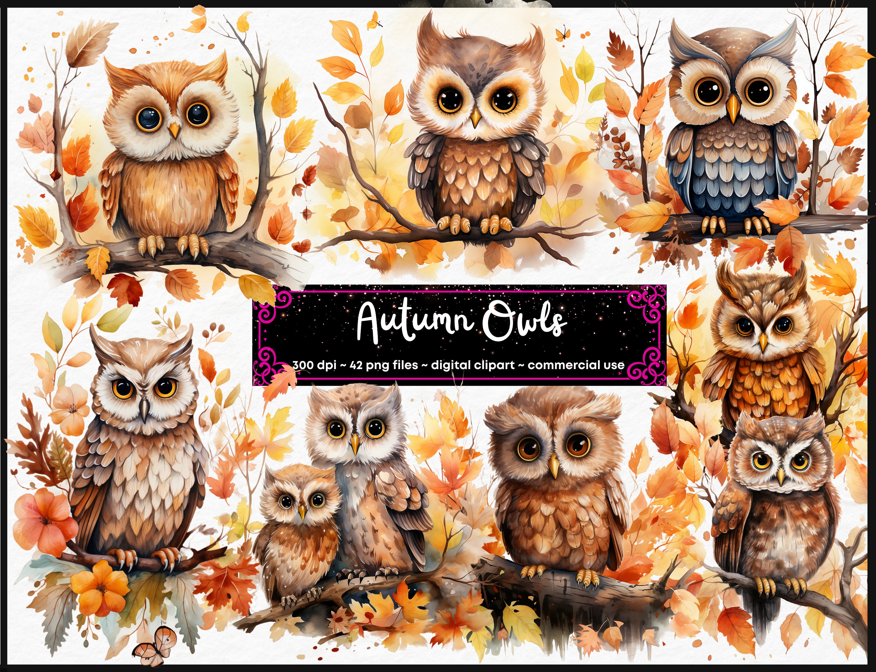 Autumn Cute Owl Watercolor Clipart Fall Animal Clipart PNG - Etsy