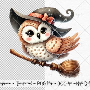 Witch Owls Clipart, Halloween Owl Art, Cute Owl, Fall Digital Art ...
