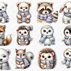 Cute Animal Clipart, Cozy Critters Clipart, Woodland Animals PNG ...
