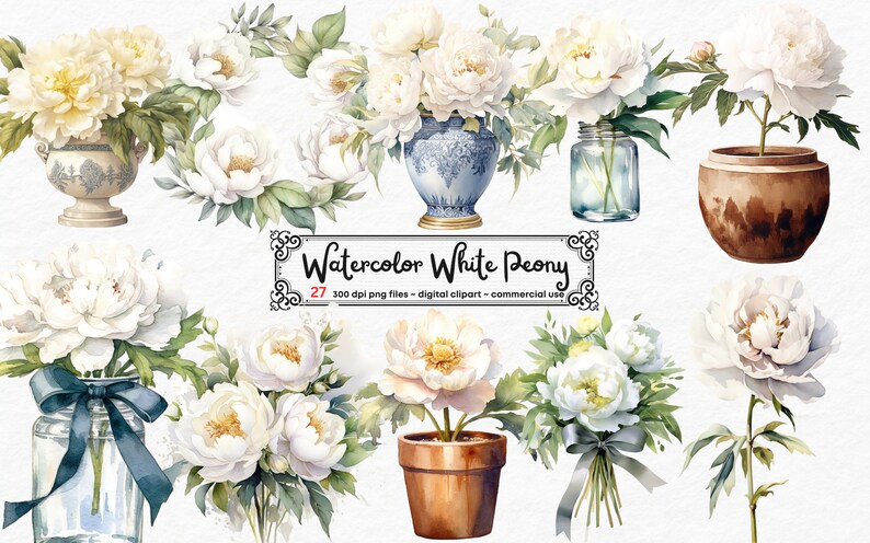 Watercolor Peony Clipart Pack - Peonies in PNG Format Instant Download ...