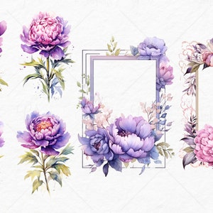 Watercolor Purple Peony Clipart - Peonies in PNG Format Instant ...