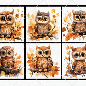 Autumn Cute Owl Watercolor Clipart, Fall Animal Clipart PNG, Kids ...