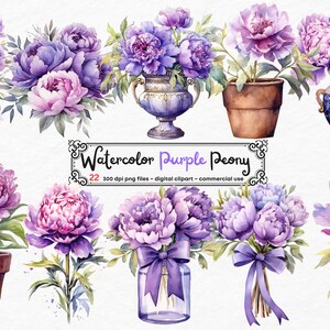 Watercolor Peony Clipart Pack - Peonies in PNG Format Instant Download ...