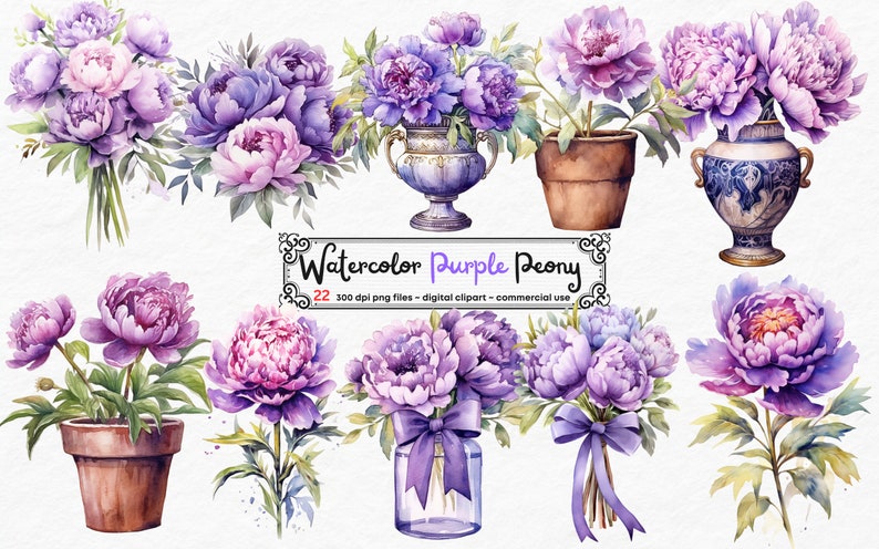Watercolor Peony Clipart Pack - Peonies in PNG Format Instant Download ...