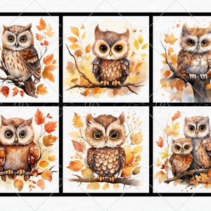 Autumn Cute Owl Watercolor Clipart, Fall Animal Clipart PNG, Kids ...
