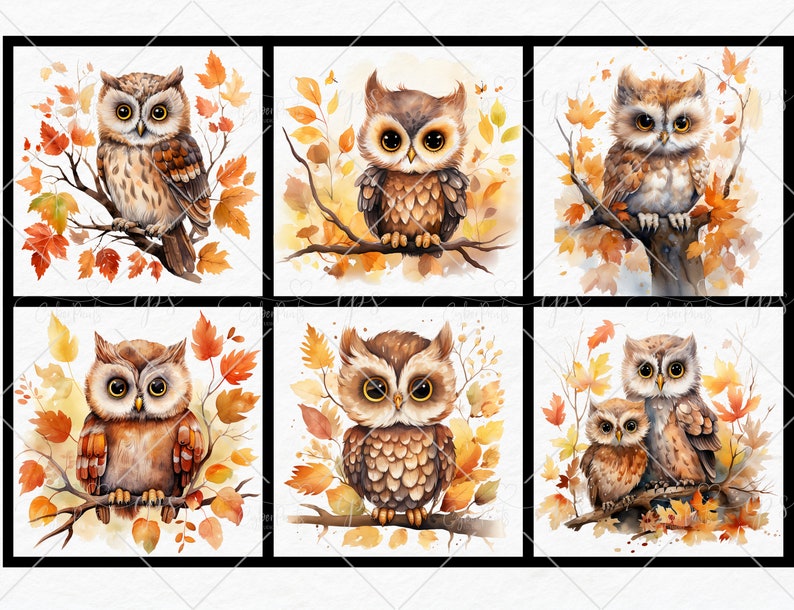 Autumn Cute Owl Watercolor Clipart Fall Animal Clipart PNG - Etsy
