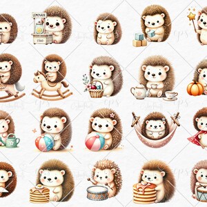 Cute Hedgehogs Clipart, Hedgehog Clipart Bundle, Hedgehog PNG, Cute ...