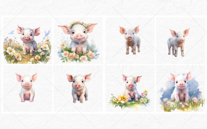 Watercolor Pig Clipart Piglet Clipart Pig Sublimation Designs PNG ...