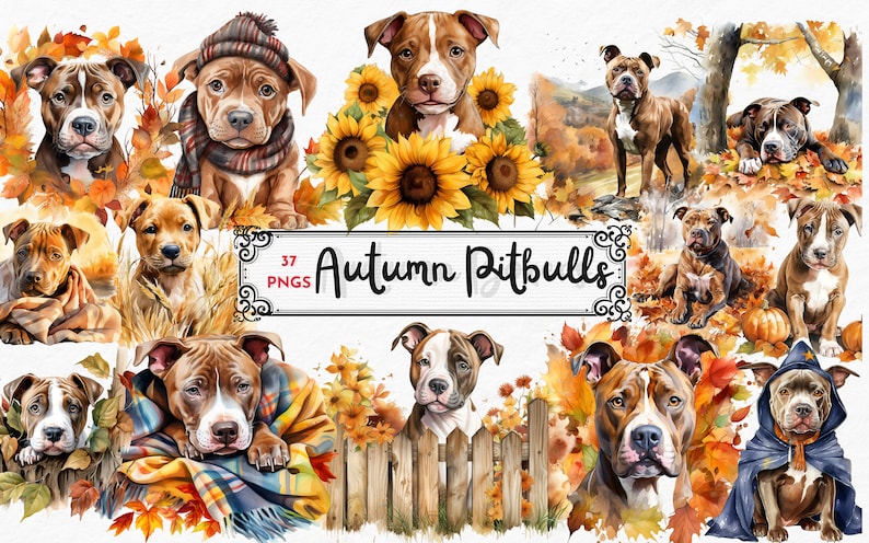 Watercolor Pitbull Clipart, Pitbull Puppy, Autumn Pitbull, Cute Pitbull ...